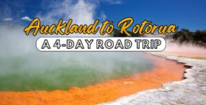 Auckland to Rotorua: A 4-Day Road Trip [2025]