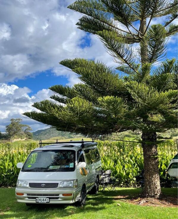 🚐 Campervan Parking in Christchurch | 2025 | TCNZ